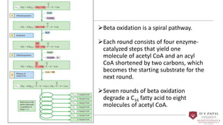 Lecture 3- Oxidation of saturated fatty acids.pptx