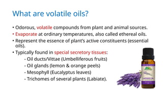 Lecture 3- Pharmacognosy IIB- Volatile Oils-1.pptx