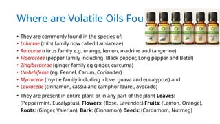 Lecture 3- Pharmacognosy IIB- Volatile Oils-1.pptx
