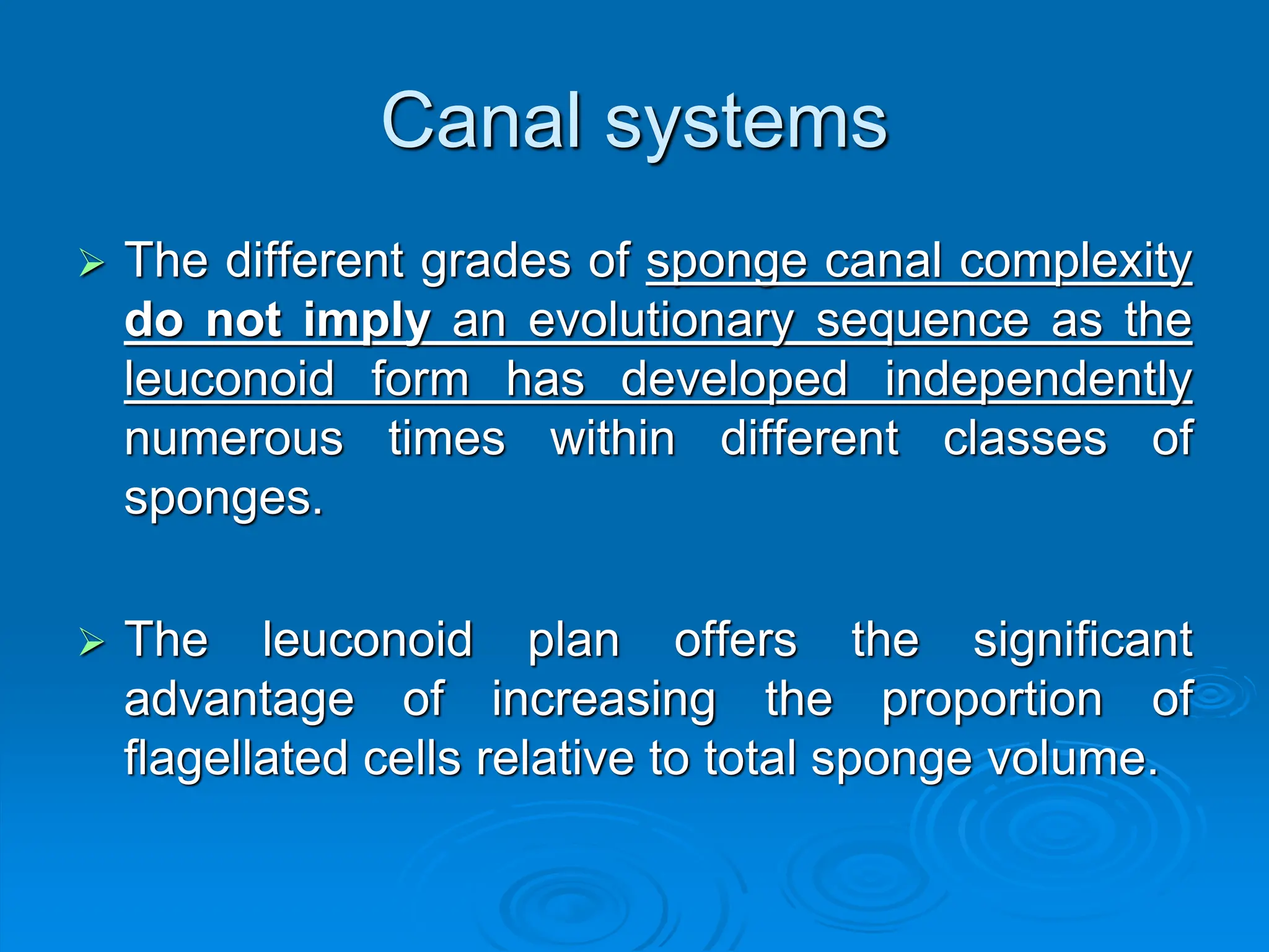 ZOO102 Invertebrate Zoology Phylum Porifera.pdf
