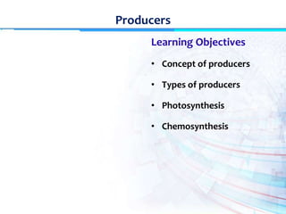 Lecture 3 producers | PPT