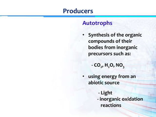 Lecture 3 producers | PPT