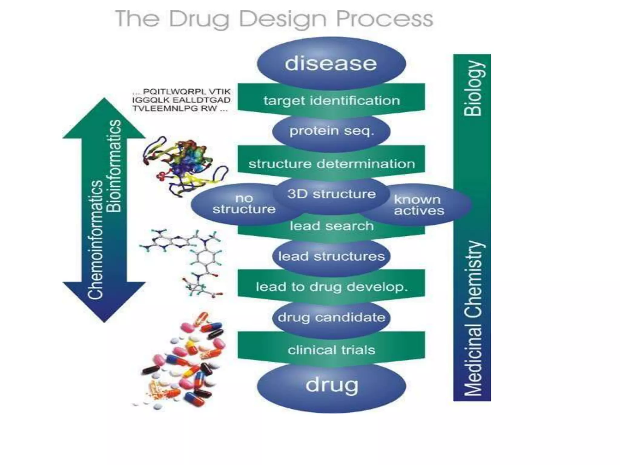 Lecture 3 rational drug design | PPT