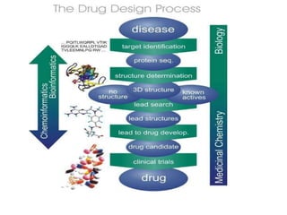 Lecture 3 rational drug design | PPT