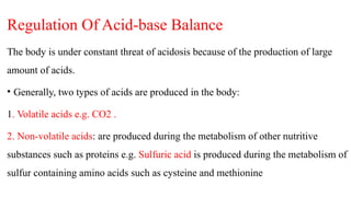 lecture3-regulation of acid base balance.pptx
