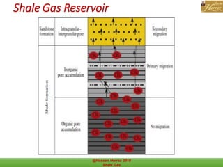 Shale Gas Resources | PDF