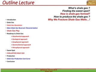 Shale Gas Resources | PDF