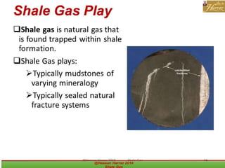 Shale Gas Resources | PDF