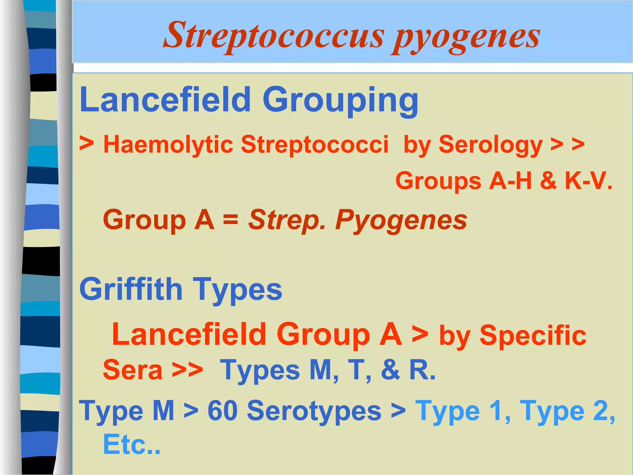 Lecture 3 Streptococcus pyogenes | PPT