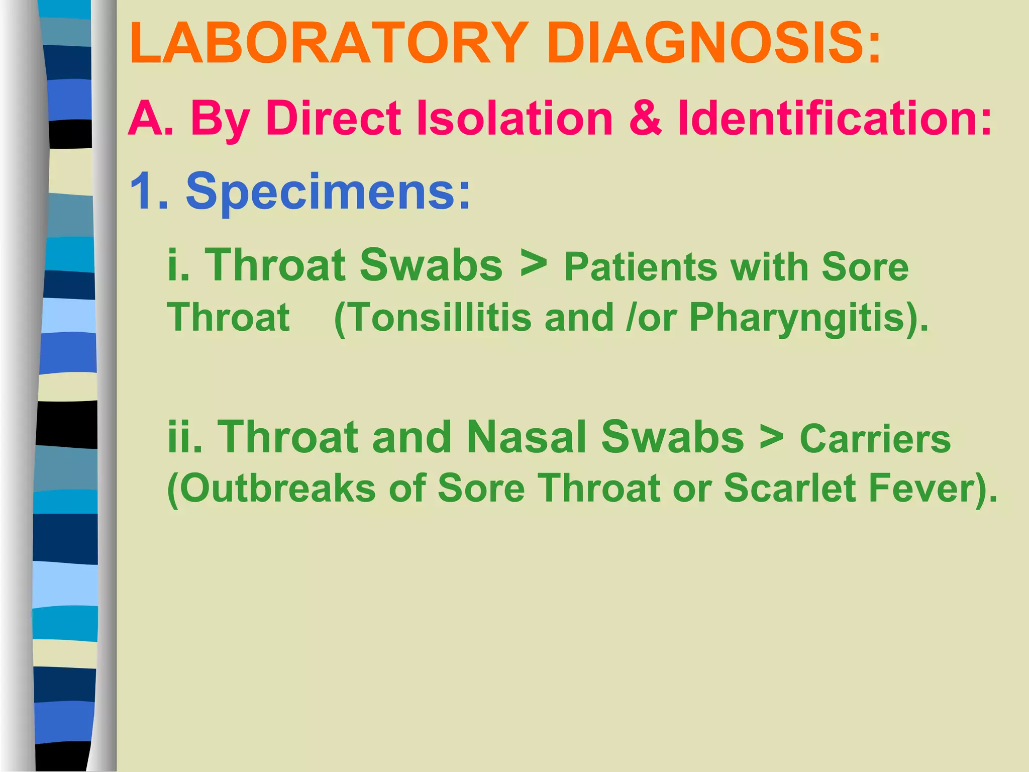 Lecture 3 Streptococcus pyogenes | PPT