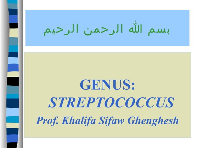 Lecture 3 Streptococcus pyogenes | PPT | Ear, Nose and Throat ...