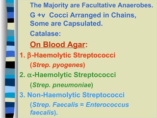 Lecture 3 Streptococcus pyogenes | PPT