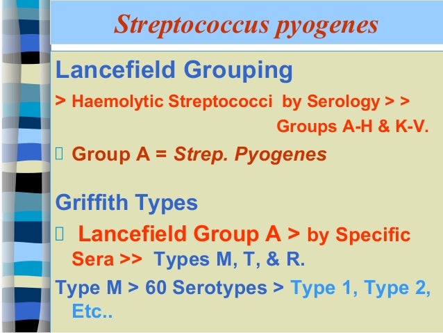 Lecture 3 Streptococcus pyogenes Lecture 3 Streptococcus pyogenes