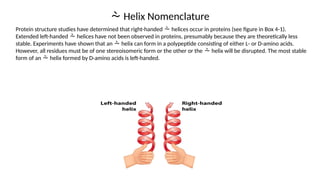 Lecture 3 - Structure and function of Proteins.pptx