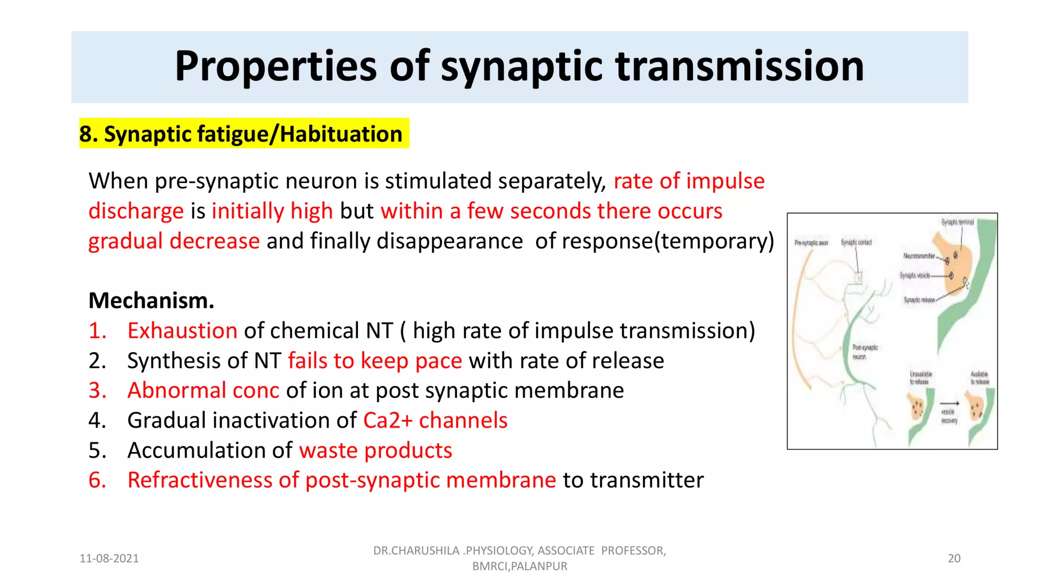 Synapse properties | PDF