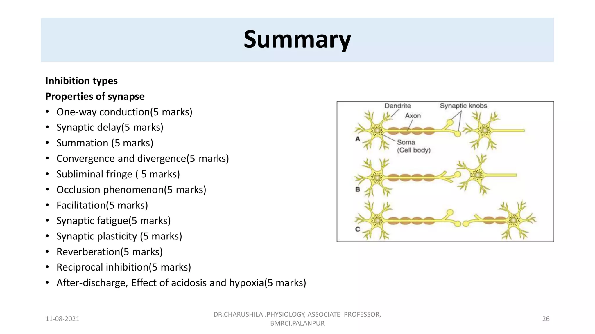 Synapse properties | PDF