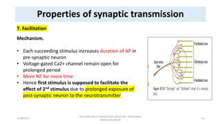 Synapse properties | PDF