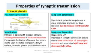 Synapse properties | PDF