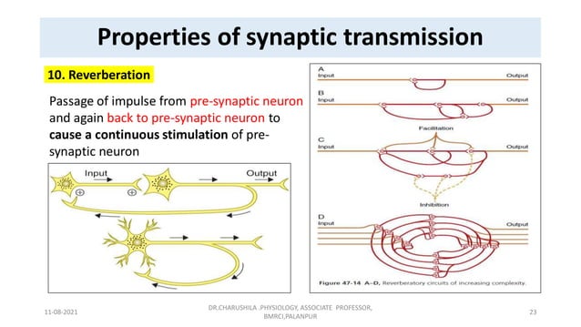 Synapse properties | PDF