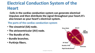 Lecture 3 - taking -ecg.pptx