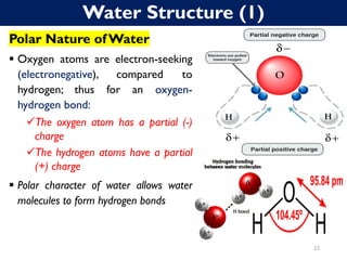 Lecture 3- Water 1.introduction to water. its structure | PDF