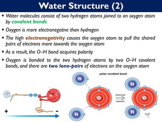 Lecture 3- Water 1.introduction to water. its structure | PDF