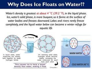 Lecture 3- Water 1.introduction to water. its structure | PDF