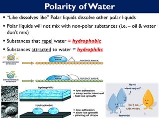 Lecture 3- Water 1.introduction to water. its structure | PDF