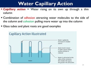 Lecture 3- Water 1.introduction to water. its structure | PDF