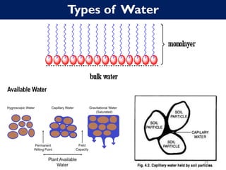 Lecture 3- Water 1.introduction to water. its structure | PDF