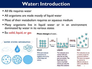 Lecture 3- Water 1.introduction to water. its structure | PDF