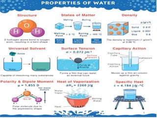 Lecture 3- Water 1.introduction to water. its structure | PDF