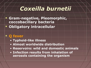 Lecture 30 Rickettsia and Coxiella | PPT