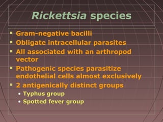 Lecture 30 Rickettsia and Coxiella | PPT