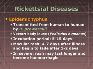 Lecture 30 Rickettsia and Coxiella | PPT