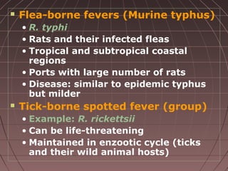 Lecture 30 Rickettsia and Coxiella | PPT