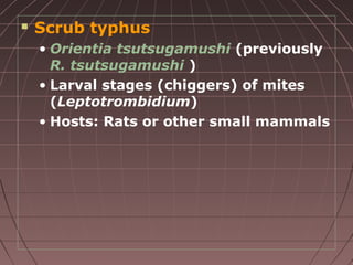 Lecture 30 Rickettsia and Coxiella | PPT