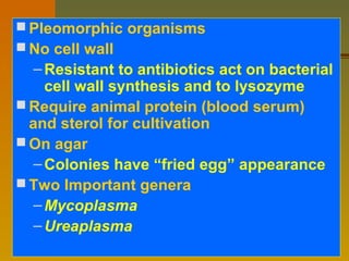 Lecture 31 Mycoplasms | PPT