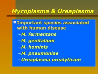 Lecture 31 Mycoplasms | PPT