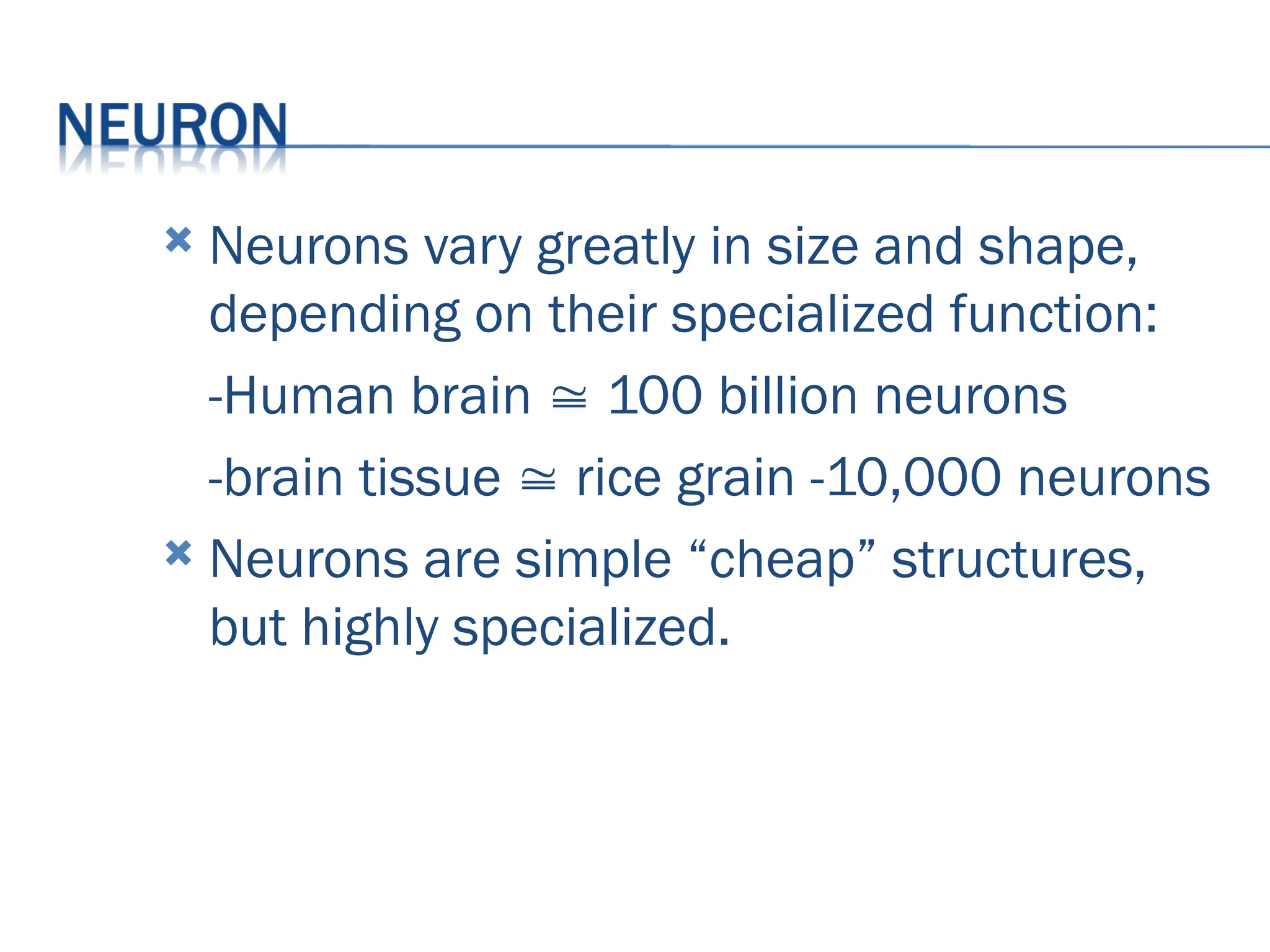 Structure of neuron and functions of neuron | PPT
