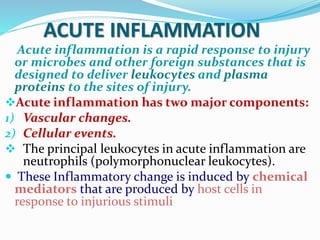 Lecture 3 Acute inflammation definition, events, signs and ...