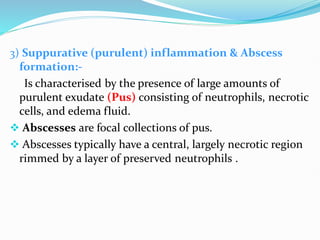 Lecture 3 Acute inflammation definition, events, signs and ...