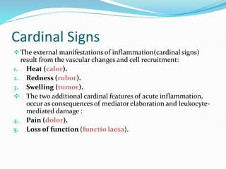 Lecture 3 Acute inflammation definition, events, signs and ...