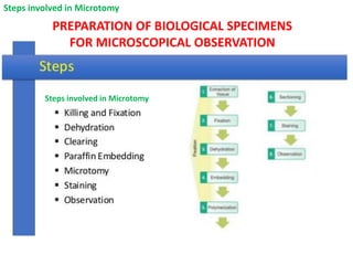 lecture3andlecture4techniquesincellbiology-210201105723.pdf