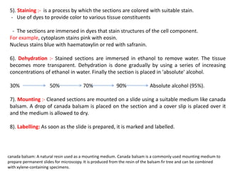 Techniques in Cell Biology | PDF