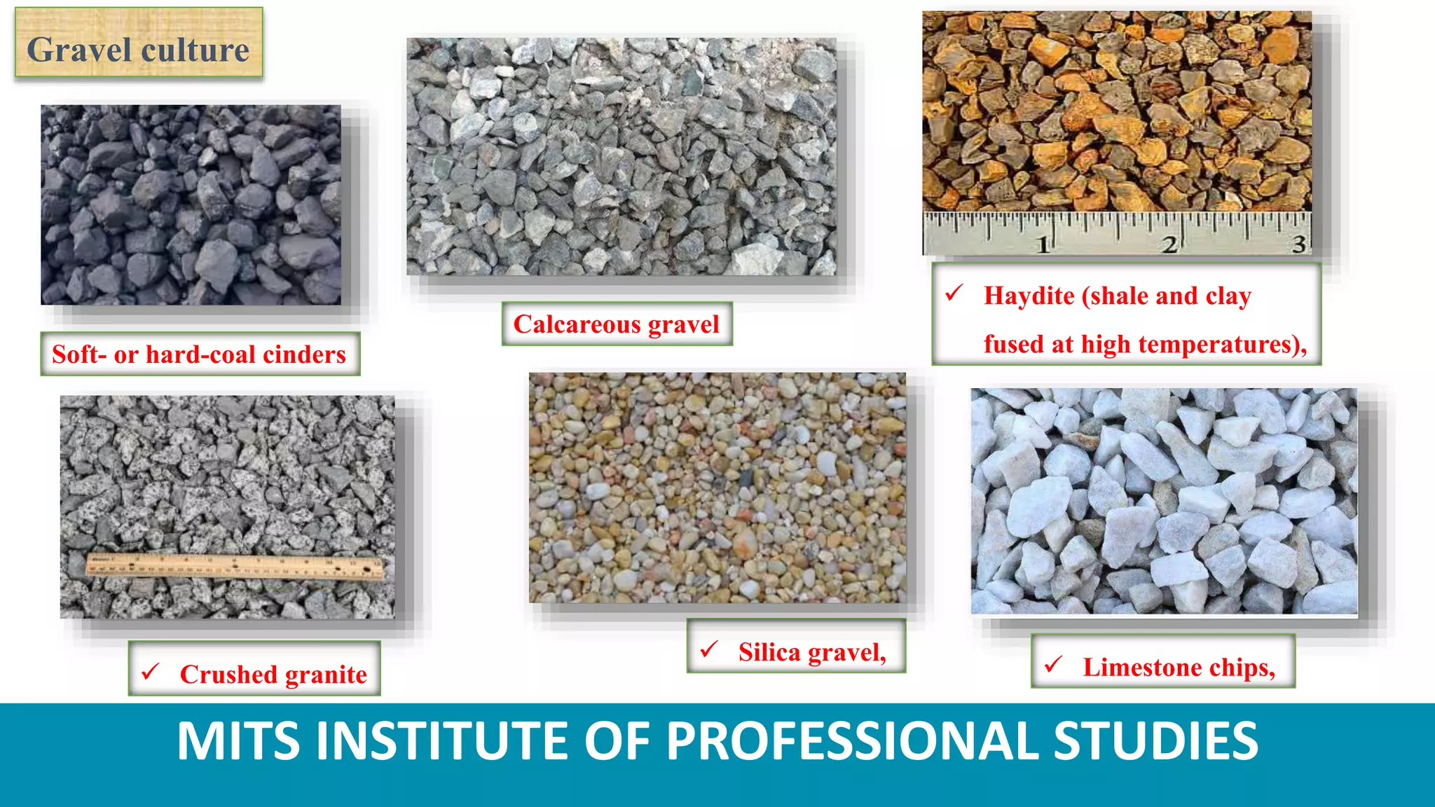 Automation in green house & growing media | PPTX