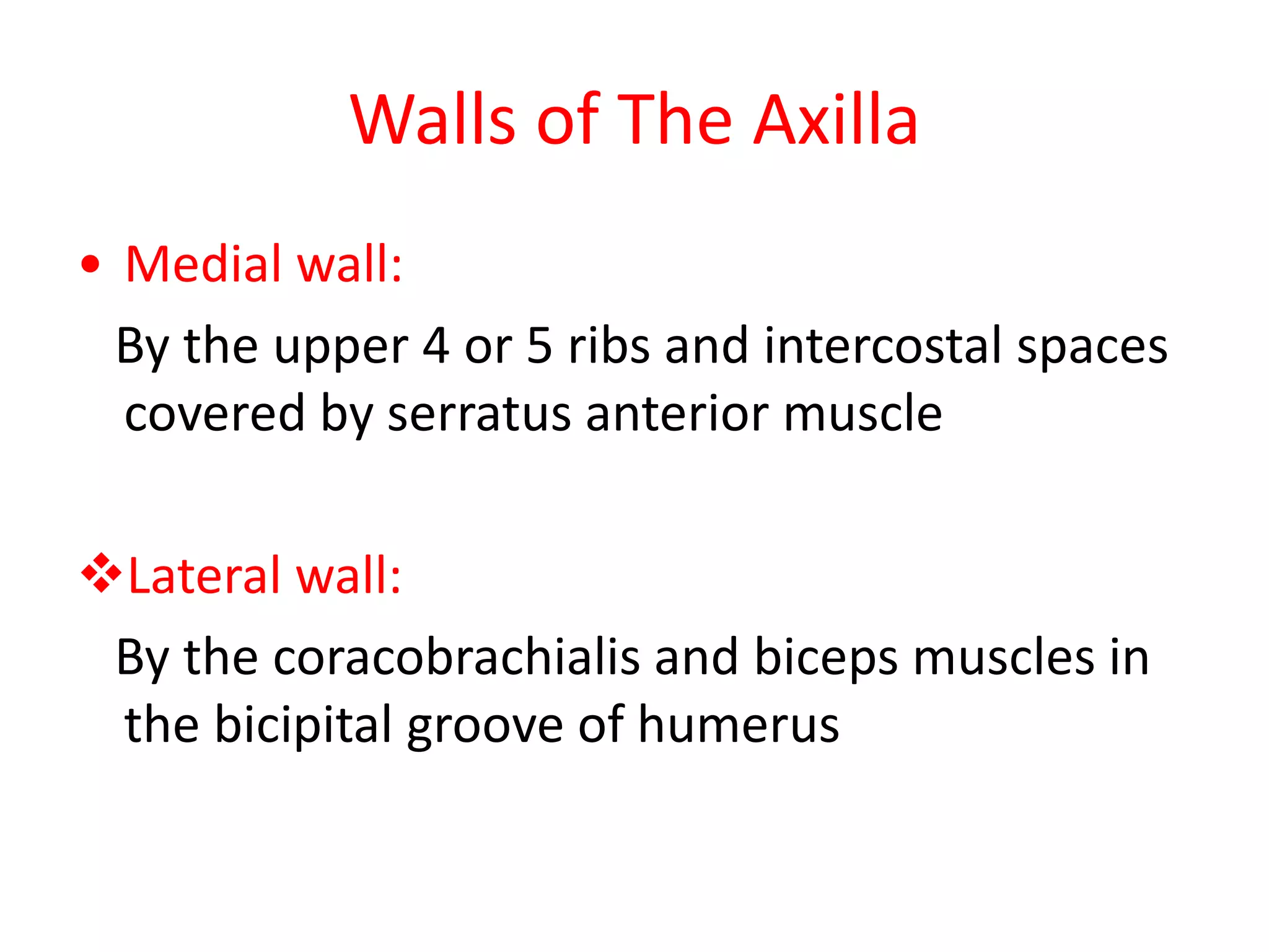 Anatomy of axilla with Dr- Ameera Al-Humidi .pptx