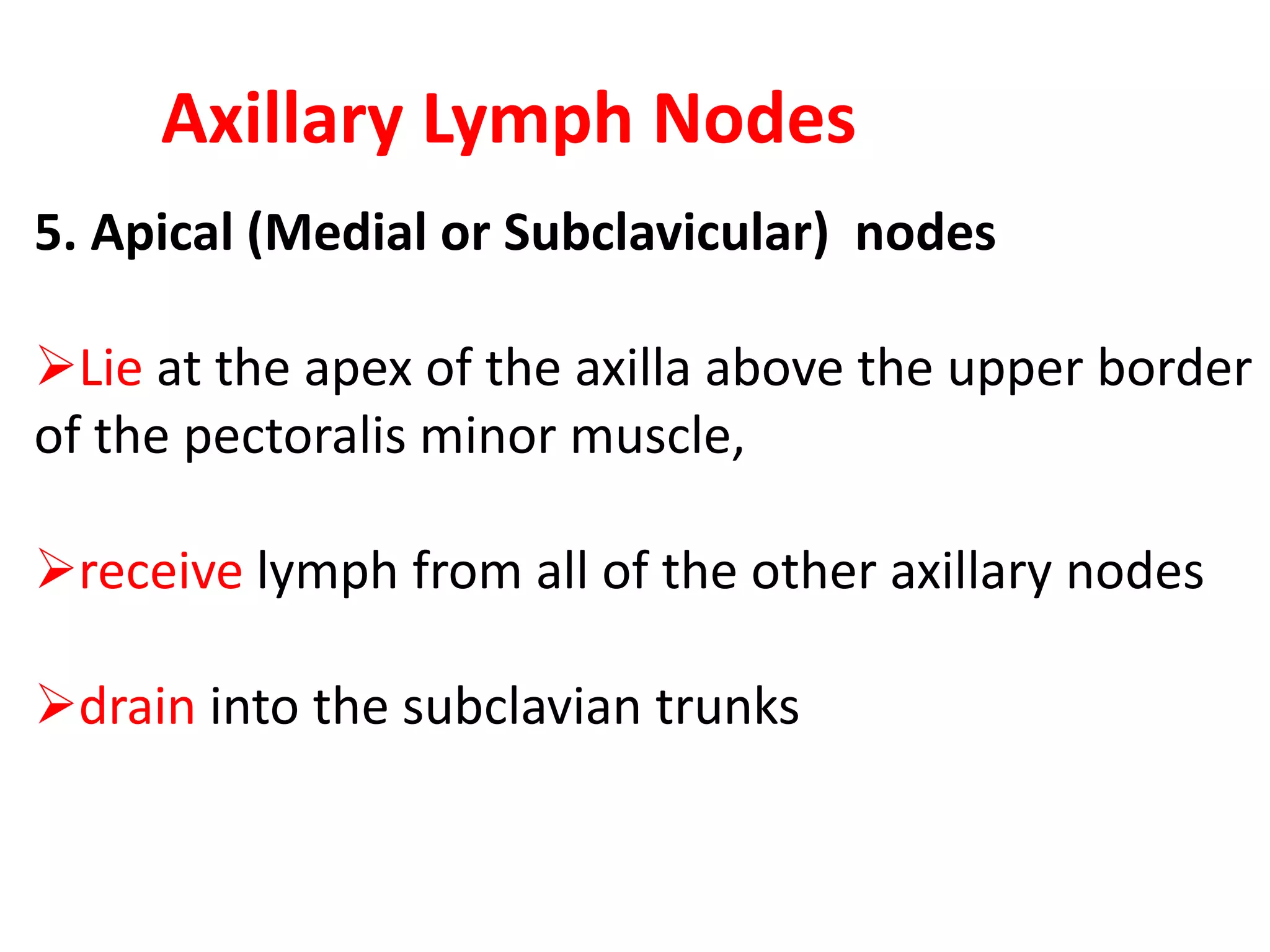 Anatomy of axilla with Dr- Ameera Al-Humidi .pptx