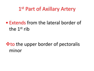 Anatomy of axilla with Dr- Ameera Al-Humidi .pptx