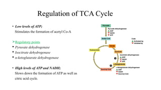 Tricarboxylic cycle biochemistry subject | PPTX